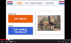 dutch animals beasts - Learn Dutch Online