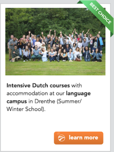intensive dutch course with accommodation - Learn Dutch Online